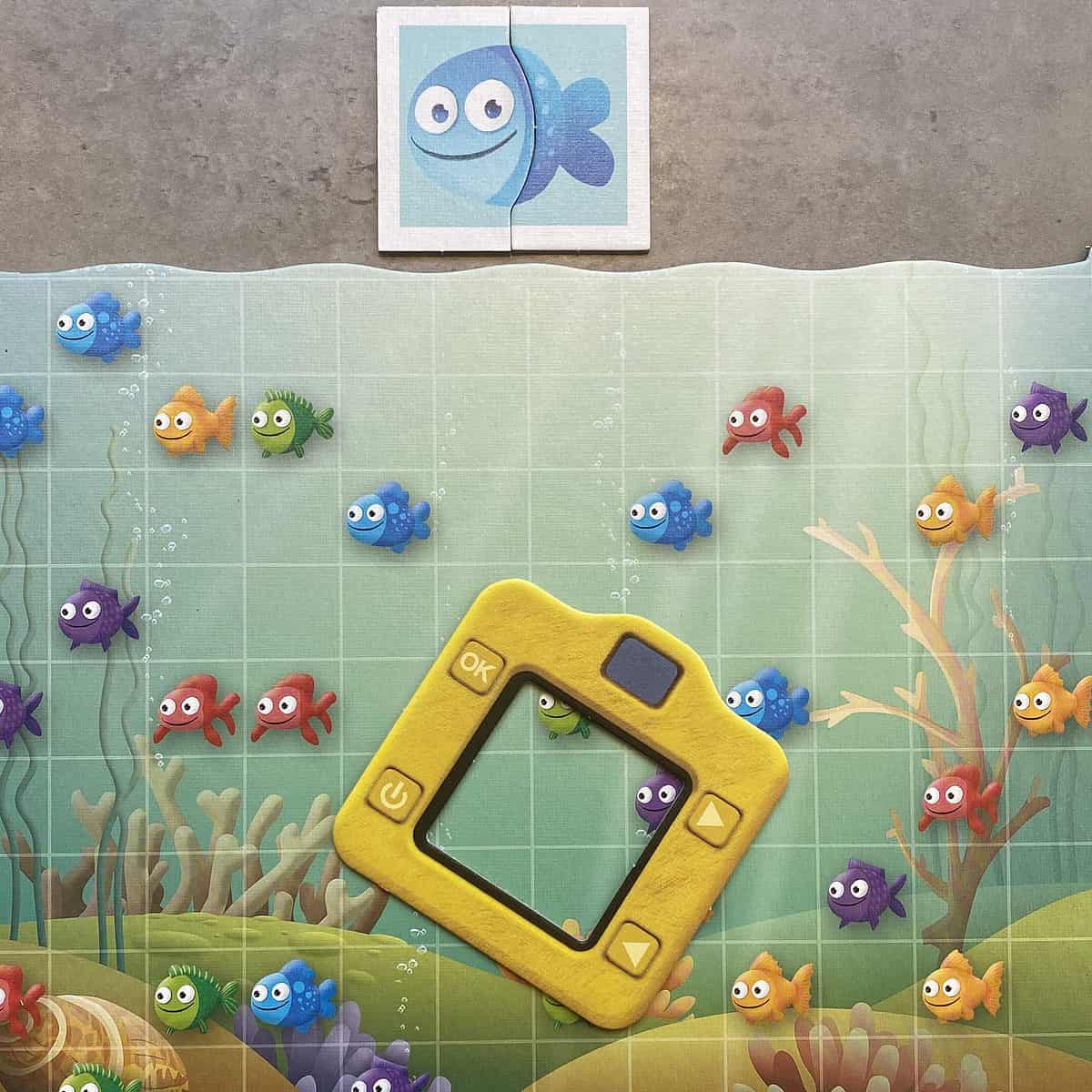 FOTO FISH Review • Spellenbunker heeft alle info & videos • Bordspel ...
